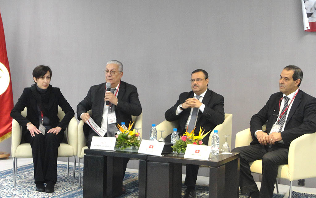 Training on OIE endorsement of FMD, PPR control programmes (French ...