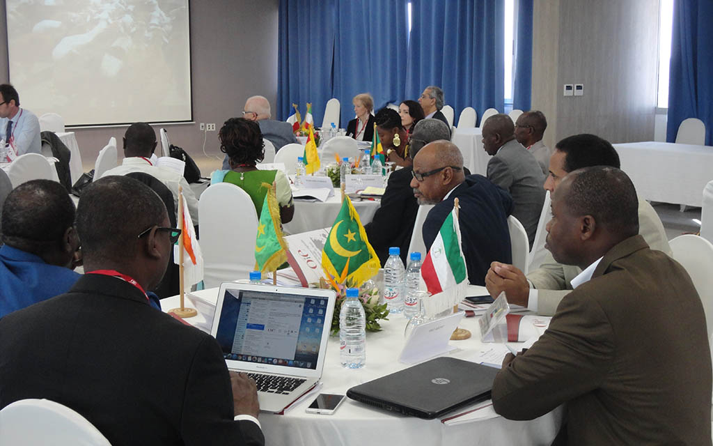 Training on OIE endorsement of FMD, PPR control programmes (French ...