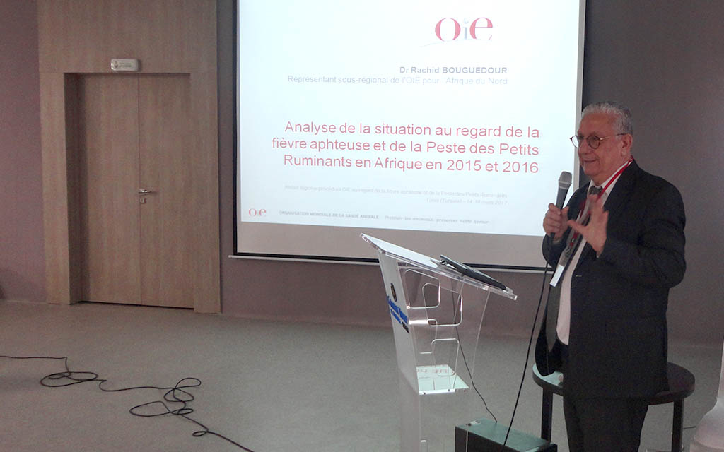 Training on OIE endorsement of FMD, PPR control programmes (French ...