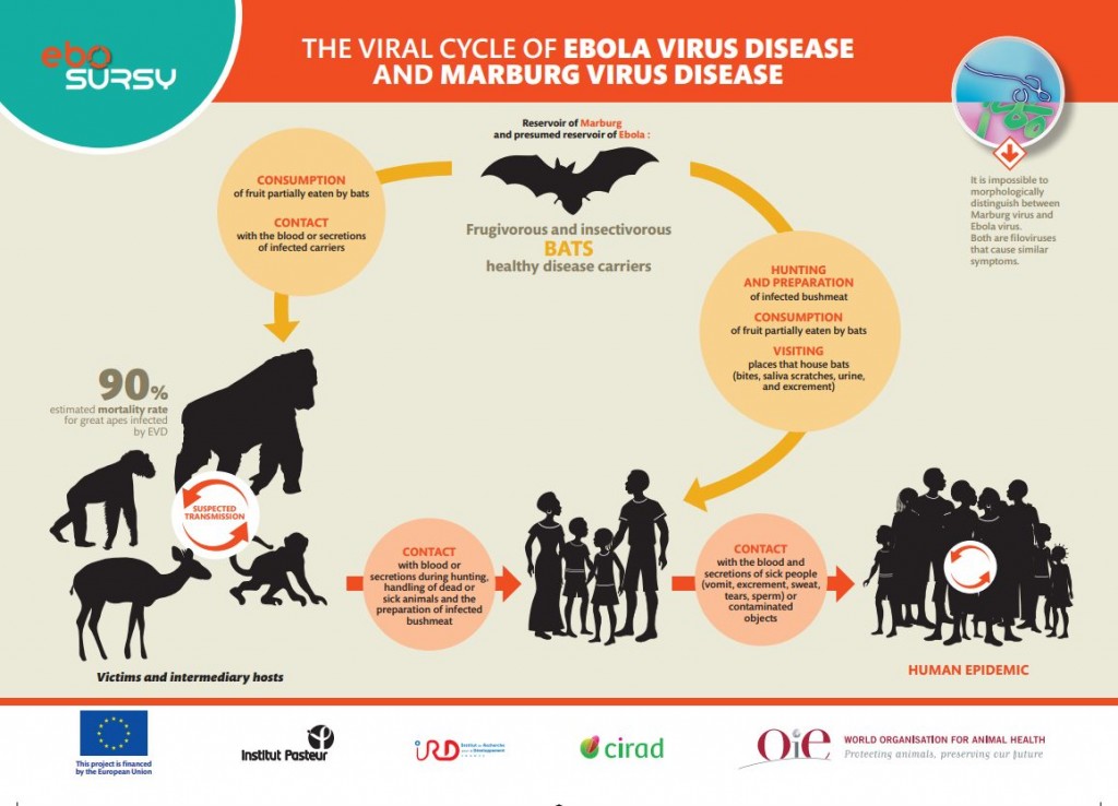 EBO-SURSY Resources - WOAH - Africa