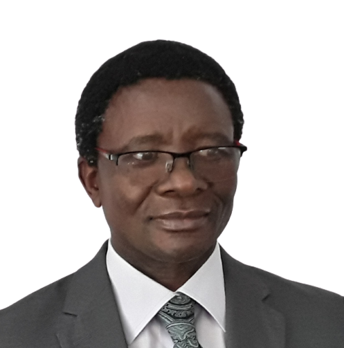 Delegates from the Africa Region - WOAH - Africa