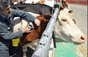 Collaborating Centres - WOAH - Africa