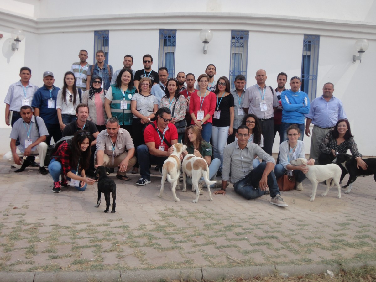 Training workshop on the capture and tagging of difficult dogs - WOAH ...