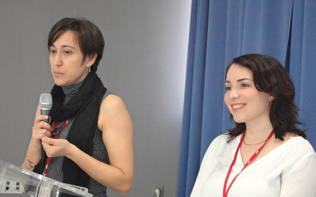 Training on OIE endorsement of FMD, PPR control programmes (French ...