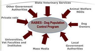 Tunisia hosts an OIE regional meeting on rabies control for North ...