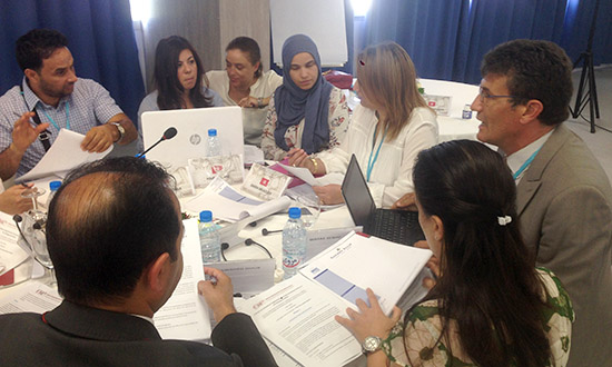 Regional Table Top Simulation Exercise (North Africa and Middle East ...