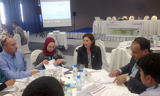 Regional Table Top Simulation Exercise (North Africa and Middle East ...