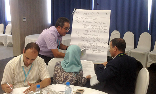 Regional Table Top Simulation Exercise (North Africa and Middle East ...