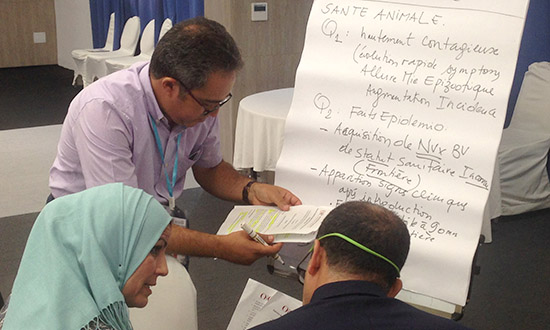 Regional Table Top Simulation Exercise (North Africa and Middle East ...