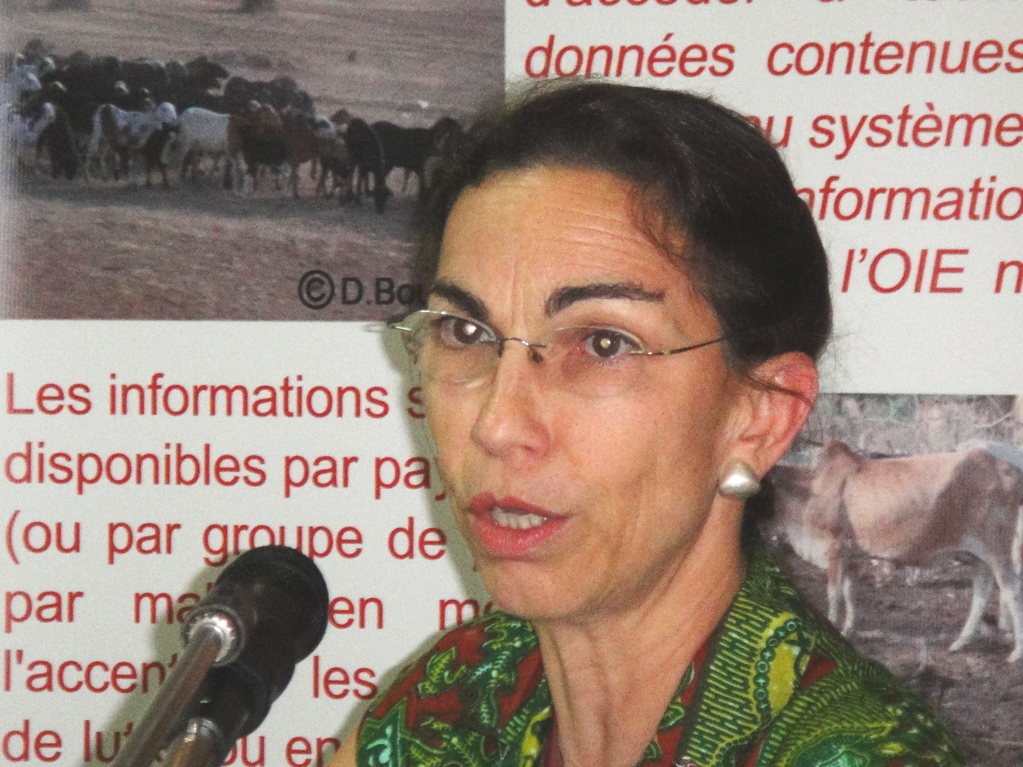 OIE training Focal Points for wildlife (Bamako) Cycle I (French) - WOAH ...
