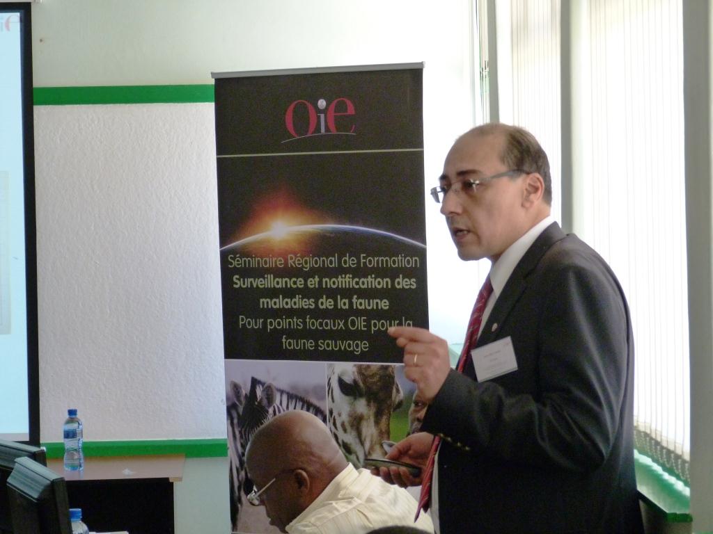 OIE training Focal Points for wildlife (Gaborone) Cycle II (French ...
