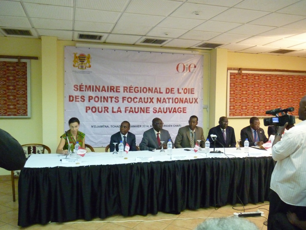 OIE training Focal Points for wildlife (N'Djamena) Cycle III (French ...