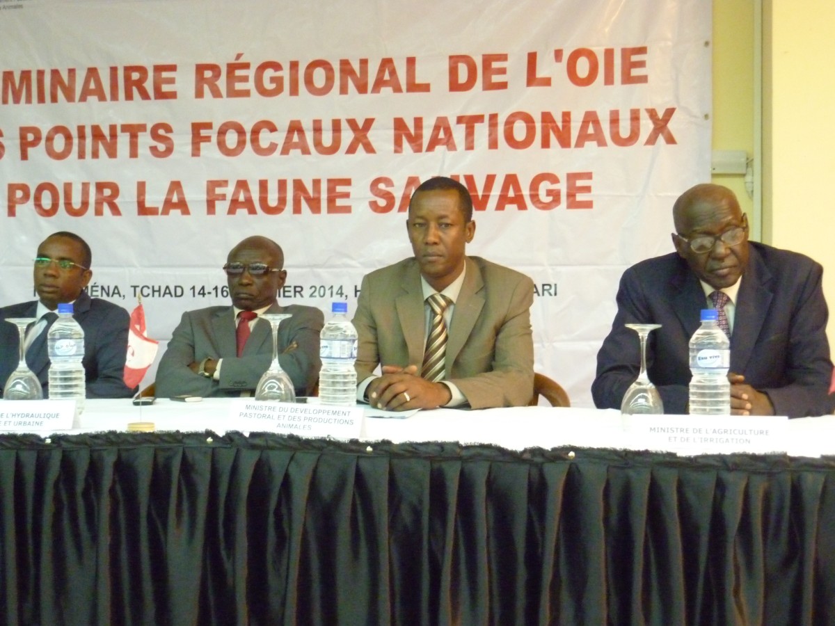 OIE training Focal Points for wildlife (N'Djamena) Cycle III (French ...
