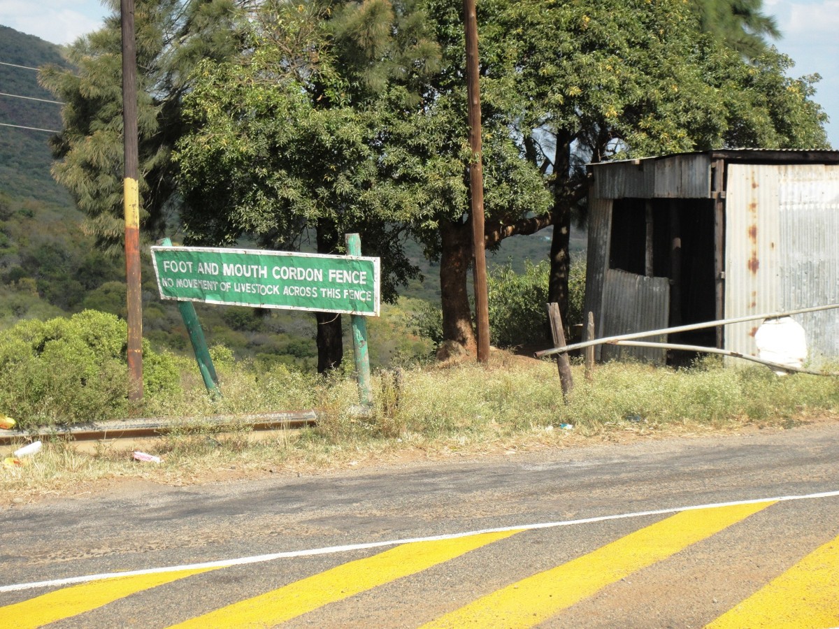 OIE / SADC meeting on official disease recognition focuses on FMD and ...