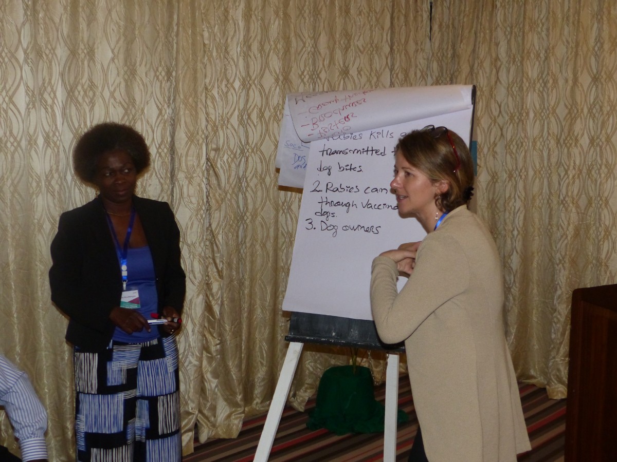 Training OIE communication focal points (cycle I) English - WOAH - Africa