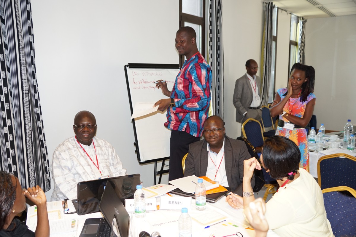 Training OIE communication focal points (cycle I) French - WOAH - Africa