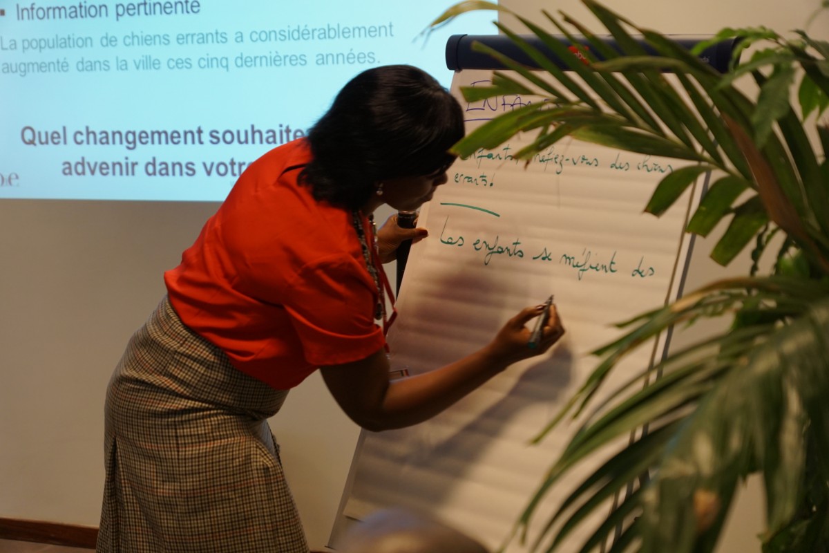 Training OIE communication focal points (cycle I) French - WOAH - Africa