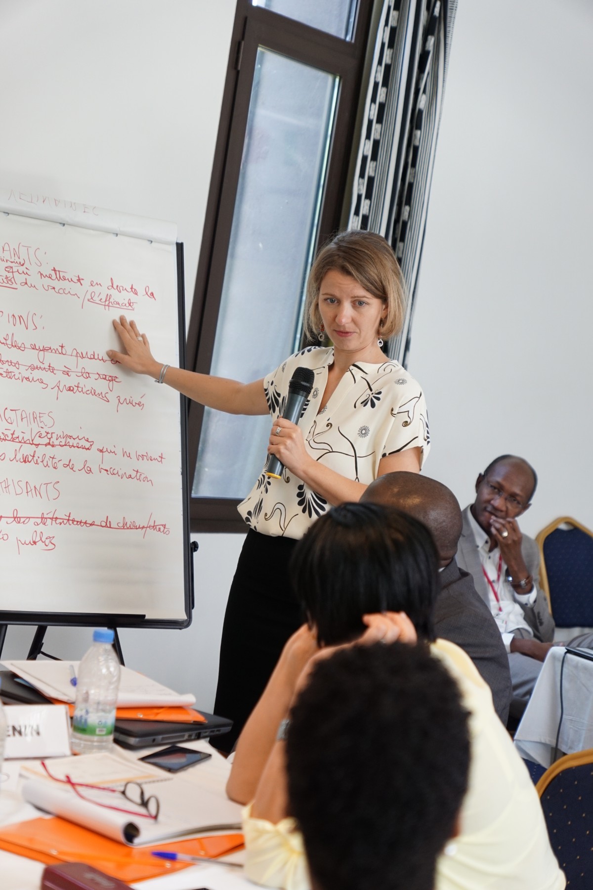 Training OIE communication focal points (cycle I) French - WOAH - Africa