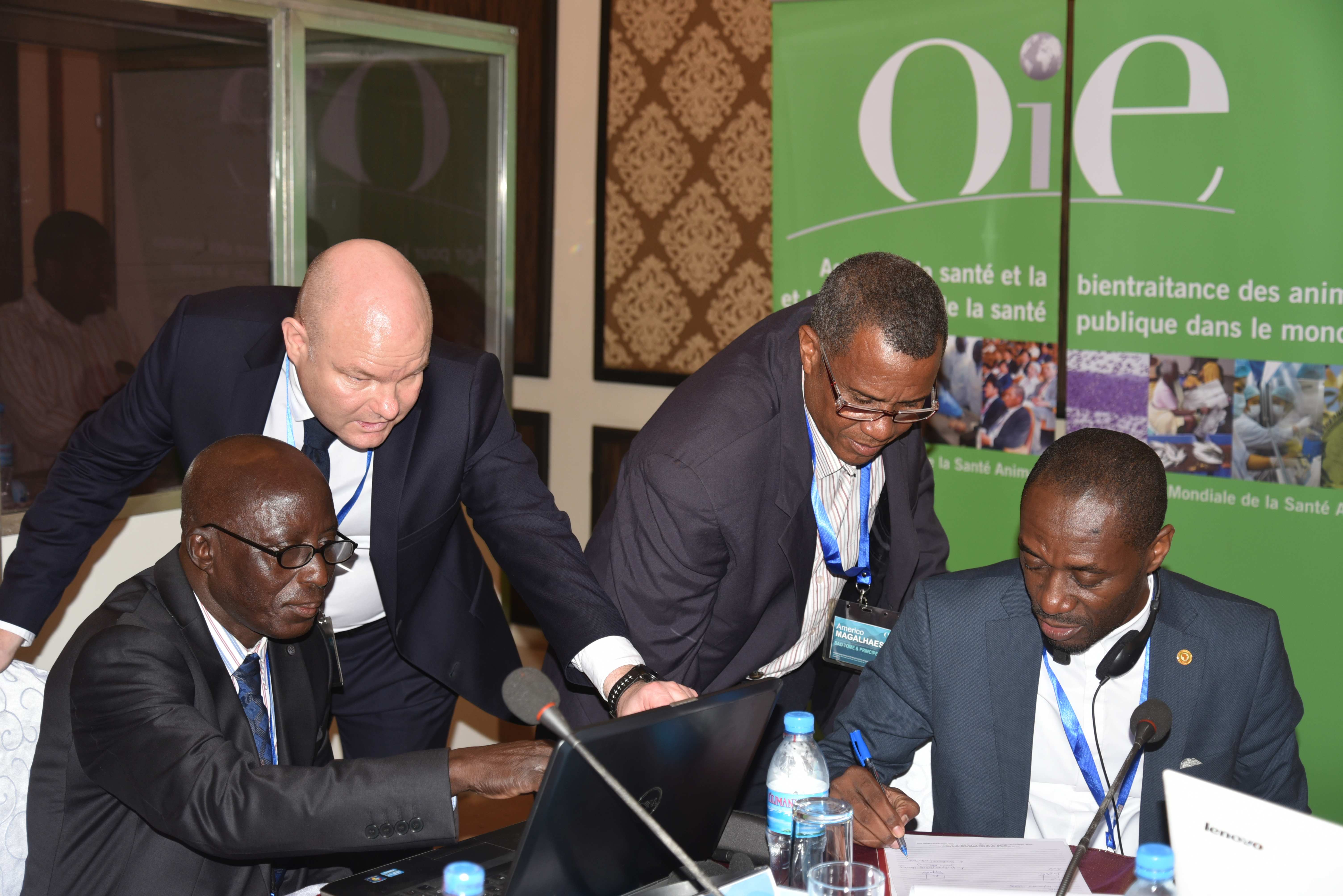 Kigali hosts the fourth cycle training of Aquatic Animal Health Focal ...