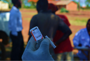 Pilot projects to support the elimination of dog mediated rabies - WOAH ...