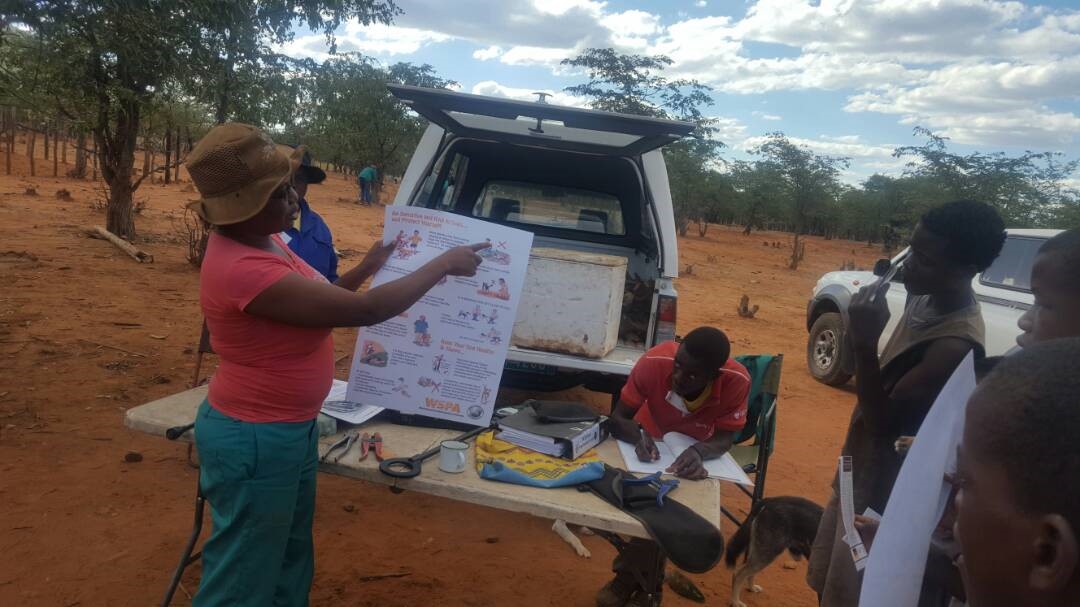 Contributing to the elimination of dog-mediated human rabies deaths in ...