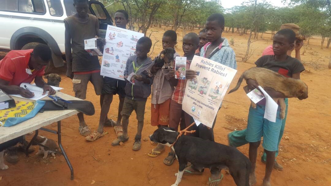 Contributing to the elimination of dog-mediated human rabies deaths in ...