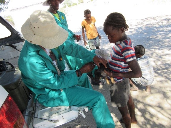 Contributing to the elimination of dog-mediated human rabies deaths in ...