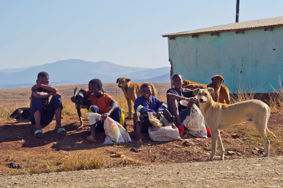 Contributing to the elimination of dog-mediated human rabies deaths in ...