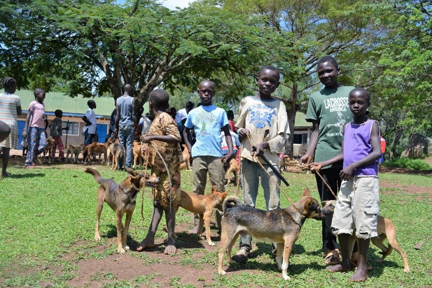 Contributing to the elimination of dog-mediated human rabies deaths in ...