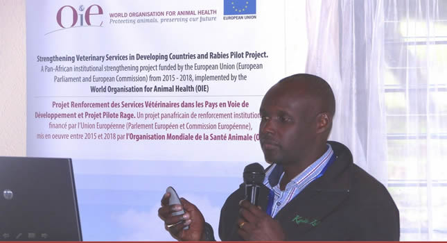 SVSDC - WOAH - Africa