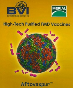 New purified (SAT) FMD vaccine launch by BVI - WOAH - Africa