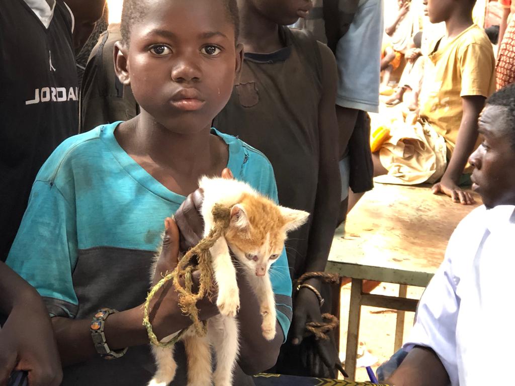 Africa Rabies Webinar (World Rabies Day) 2022 - WOAH - Africa