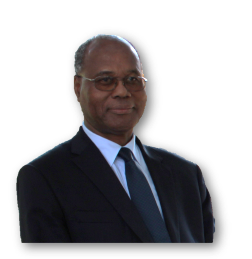 Welcome to the new OIE Website for Africa ! - WOAH - Africa