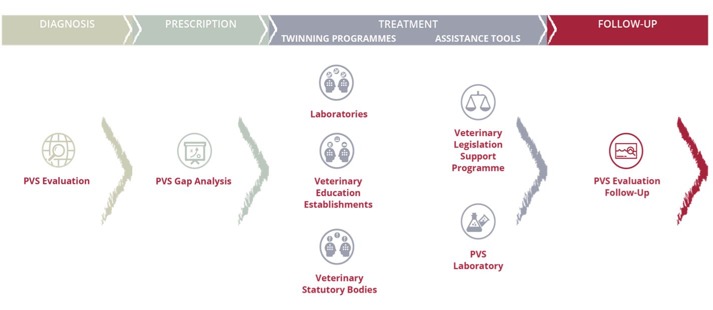 Strengthening of Veterinary Services in Africa - WOAH - Africa
