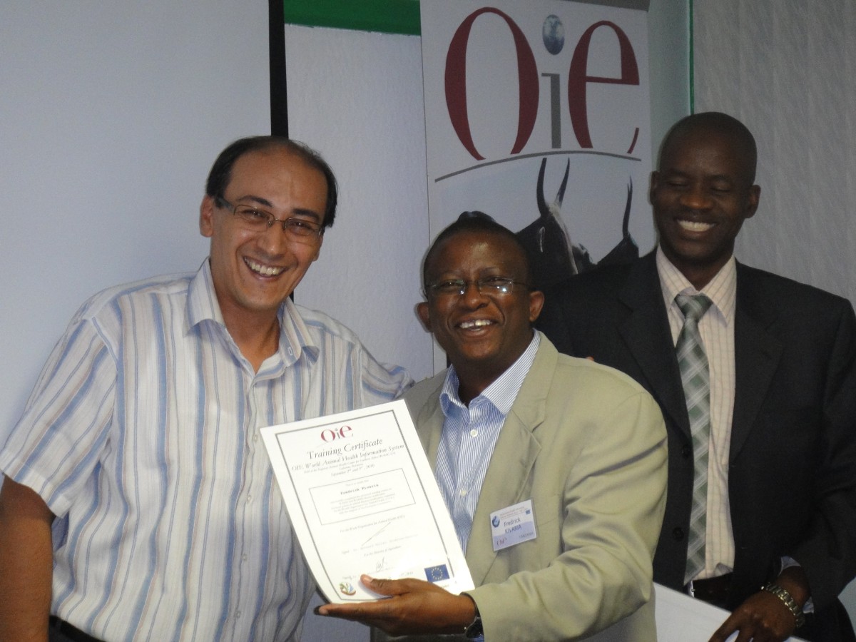 OIE WAHIS training for Terrestrial and Aquatic Animal Disease ...