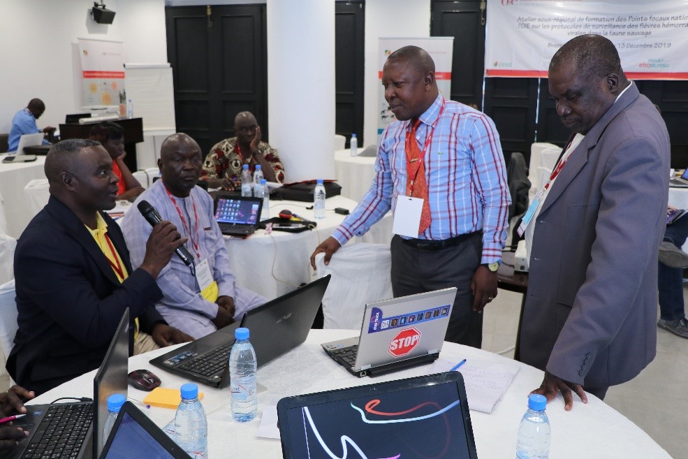 Joint Training selected Focal Points (on wildlife surveillance ...