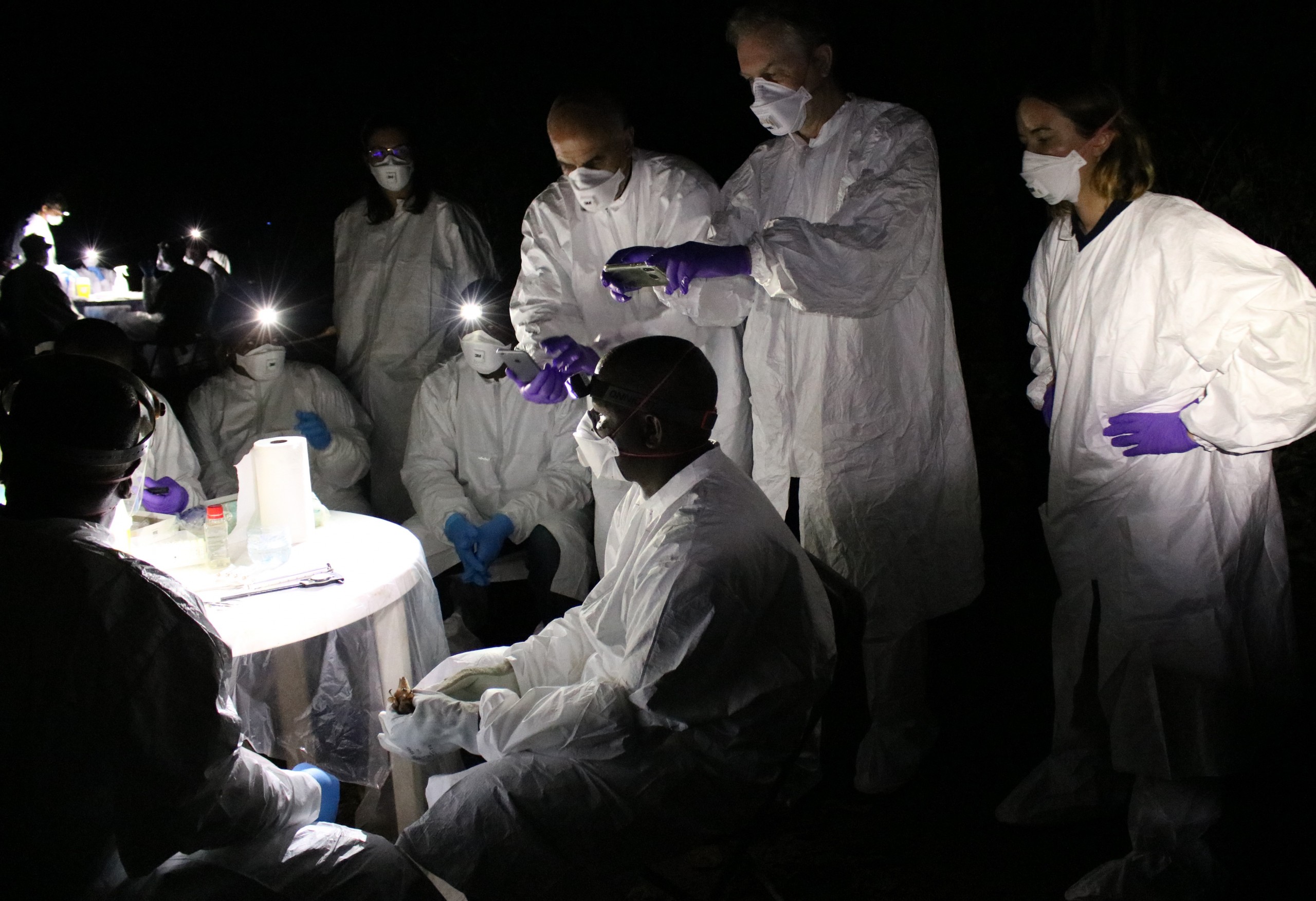 From theory to practice: training actors in the ‘One Health’ approach ...