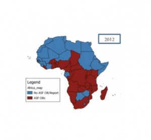 African Swine Fever - WOAH - Africa