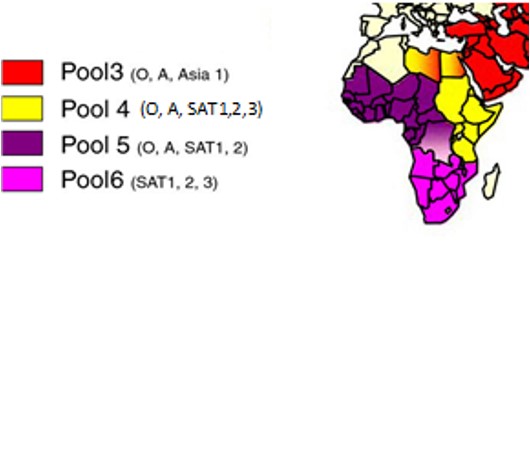 Foot-and-Mouth Disease - WOAH - Africa