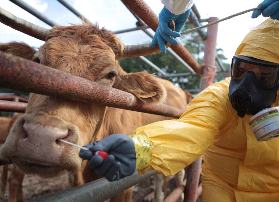 Veterinary Services Develop Workplans for Biological Threat Reduction ...