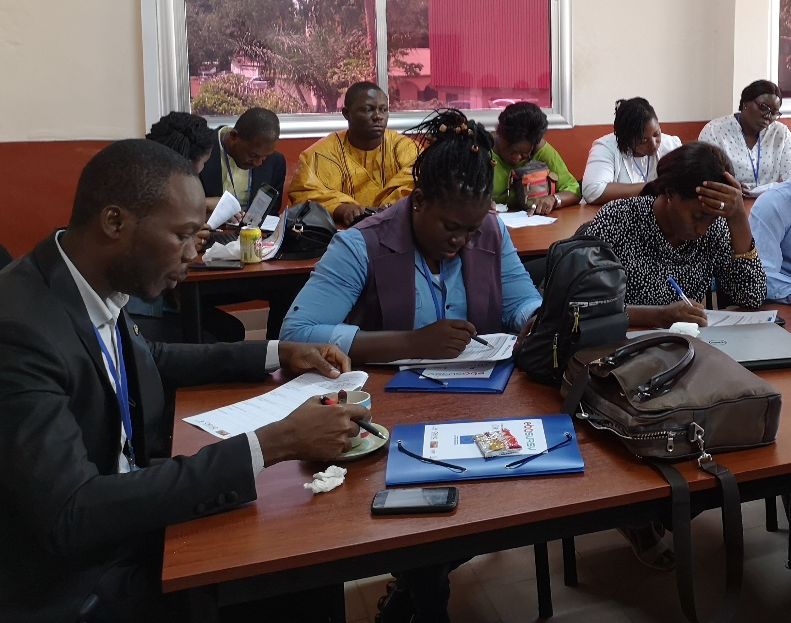 EBO-SURSY Project capacity building trainings help spur Guinea’s ...