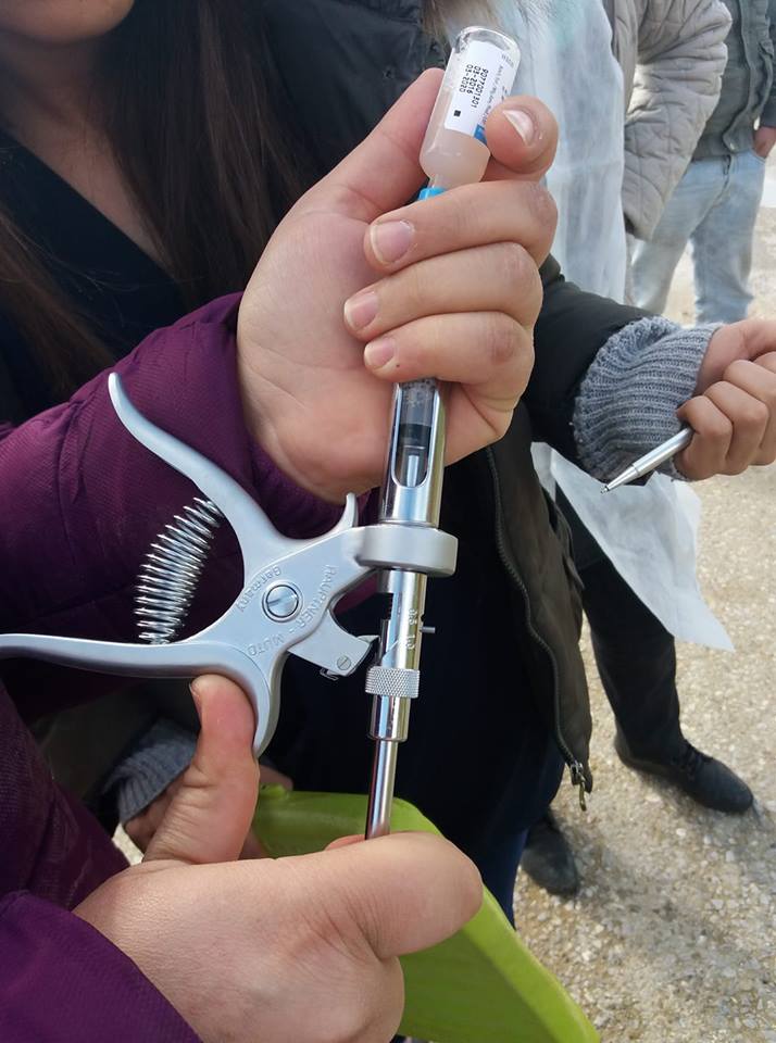 Veterinary workforce development : what is it all about ? - WOAH - Africa