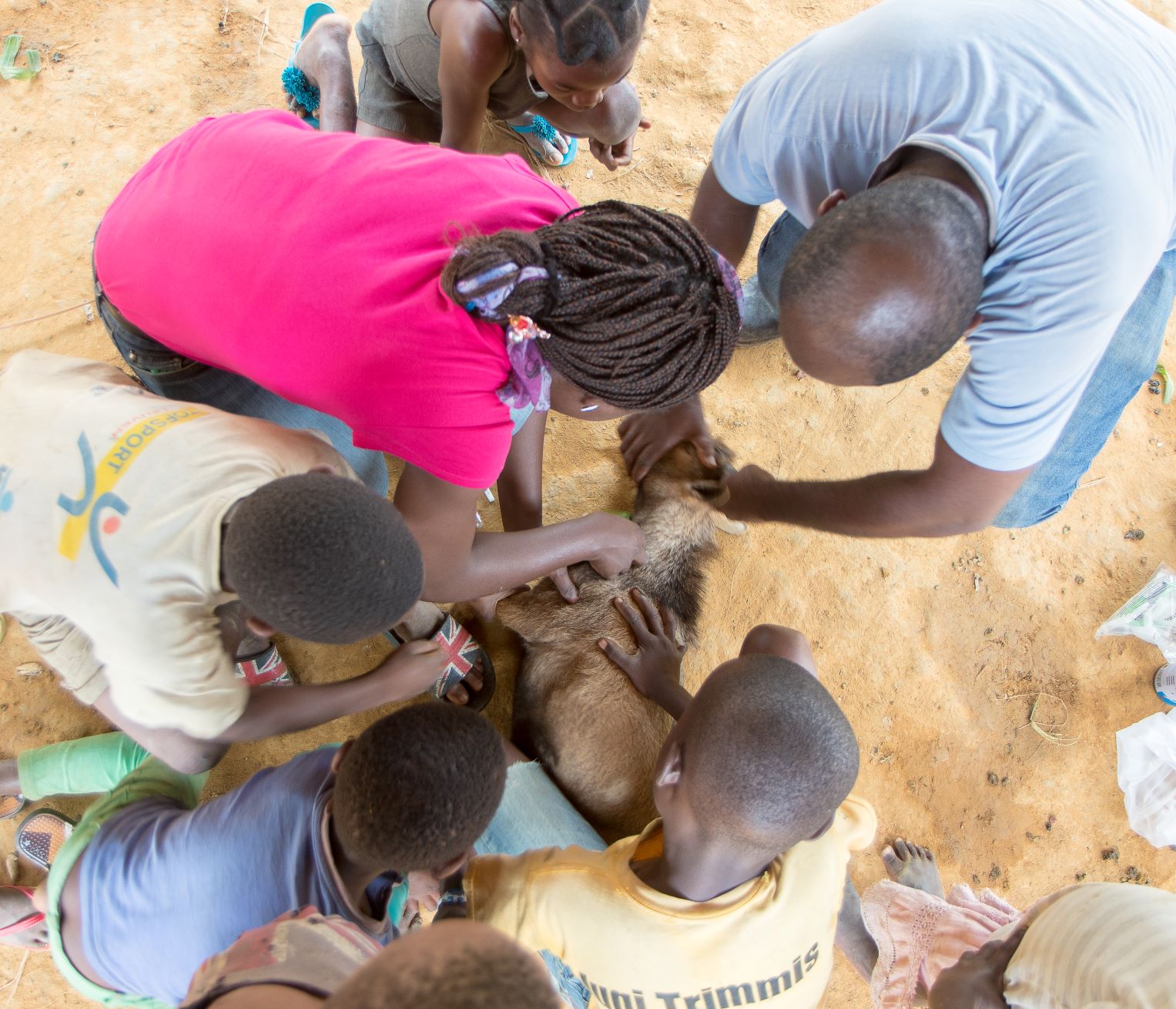 EBO-SURSY Project celebrates the International Day of Women and Girls ...