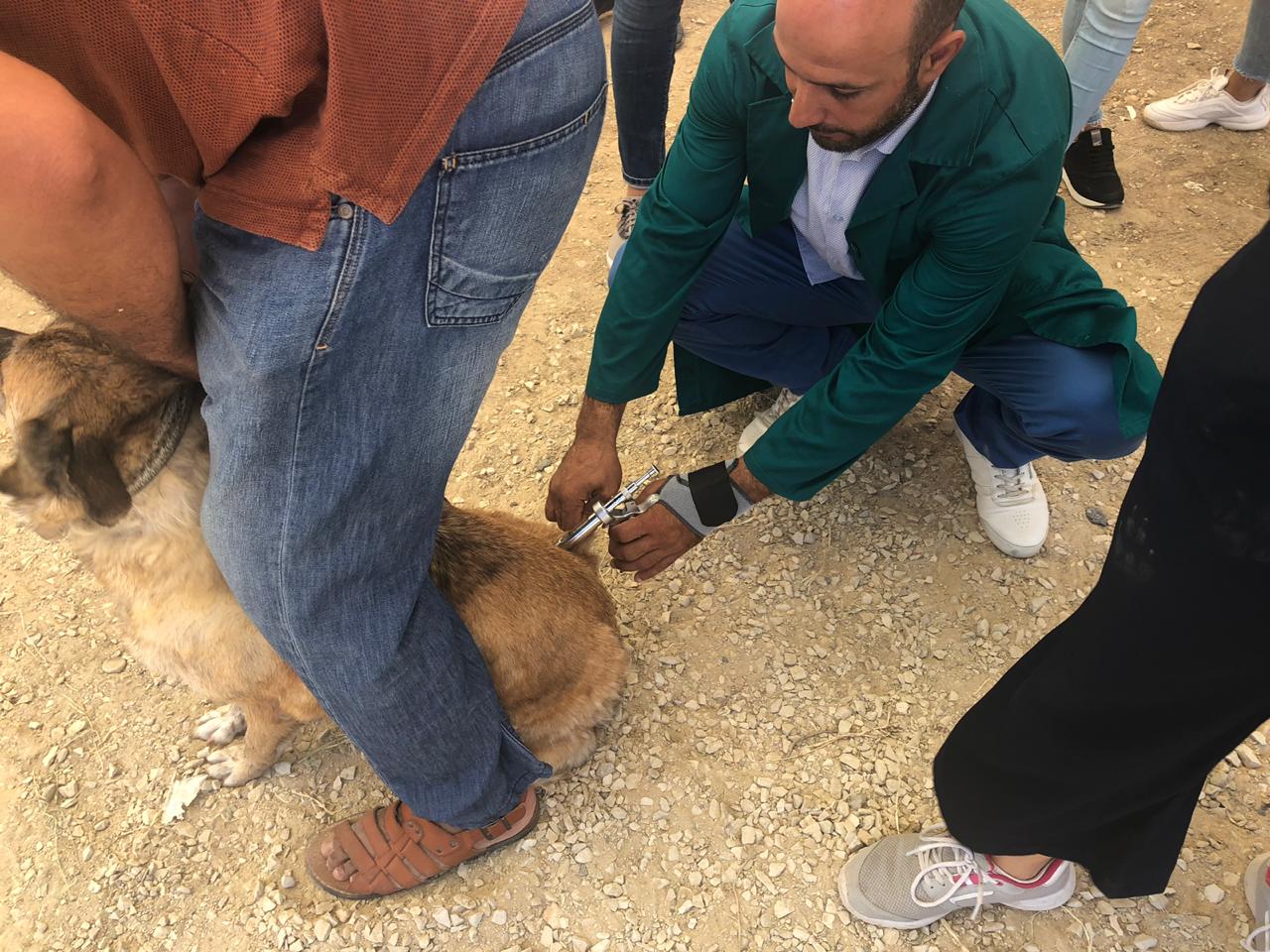 Rabies : Regional Workshop on Epidemiological Surveillance and Canine ...