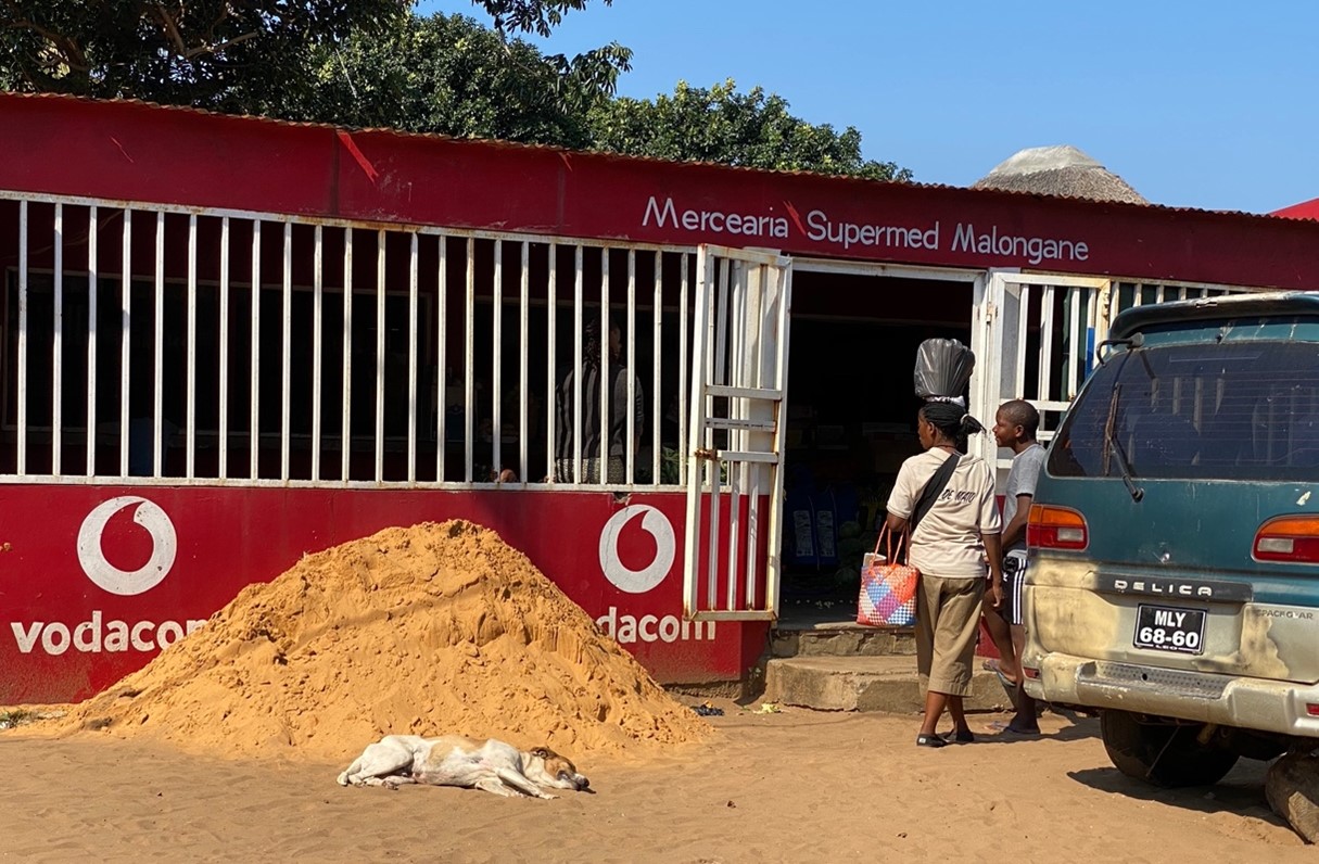 Can Africa get rid of human rabies deaths by 2030 ? - WOAH - Africa