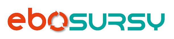 Gabon and the Republic of Congo strengthen their intersectoral ...