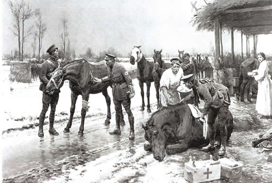 TRIBUTE TO VETERINARIANS IN THE FIRST WORLD WAR - OIE - Africa
