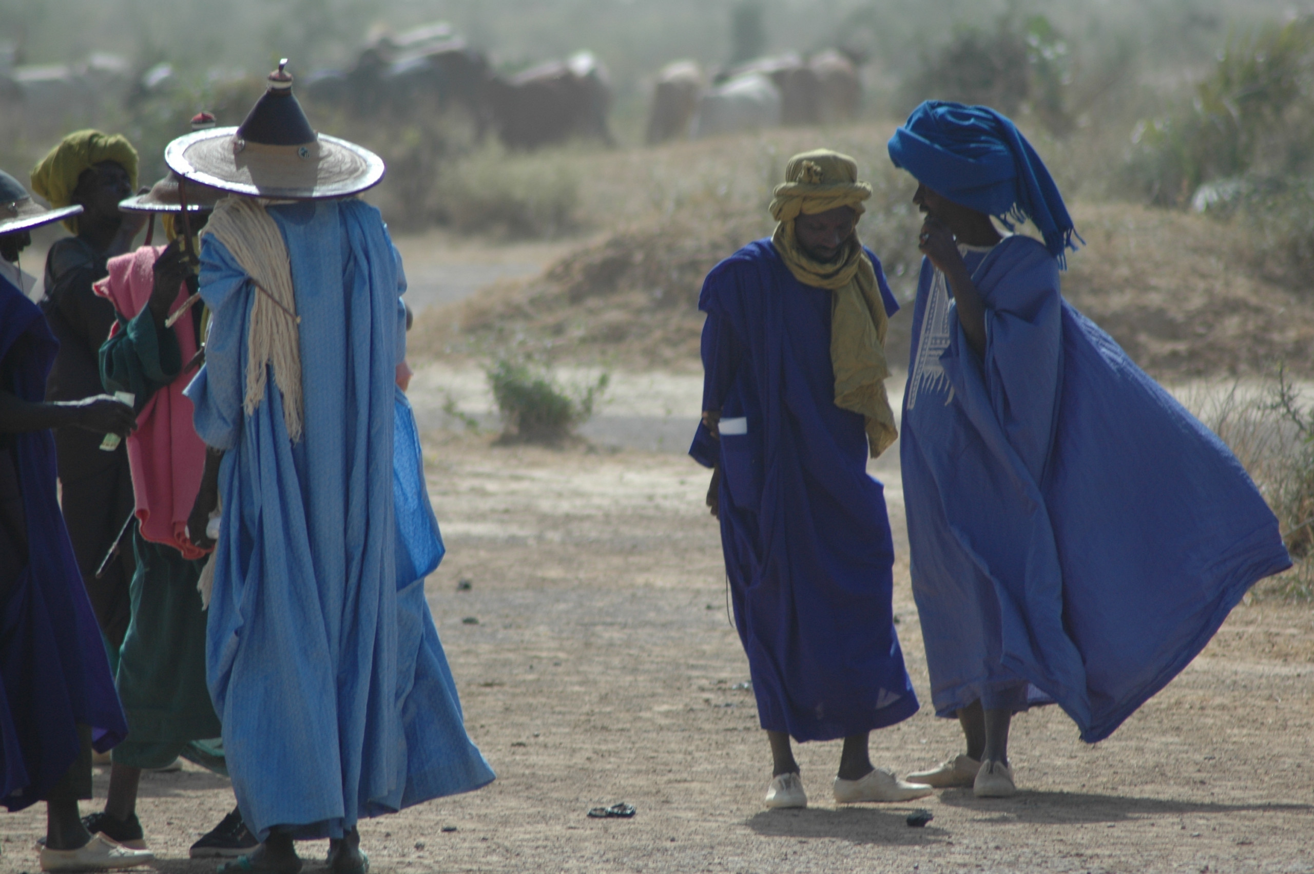 The World Organisation for Animal Health propels PPR vaccination ...