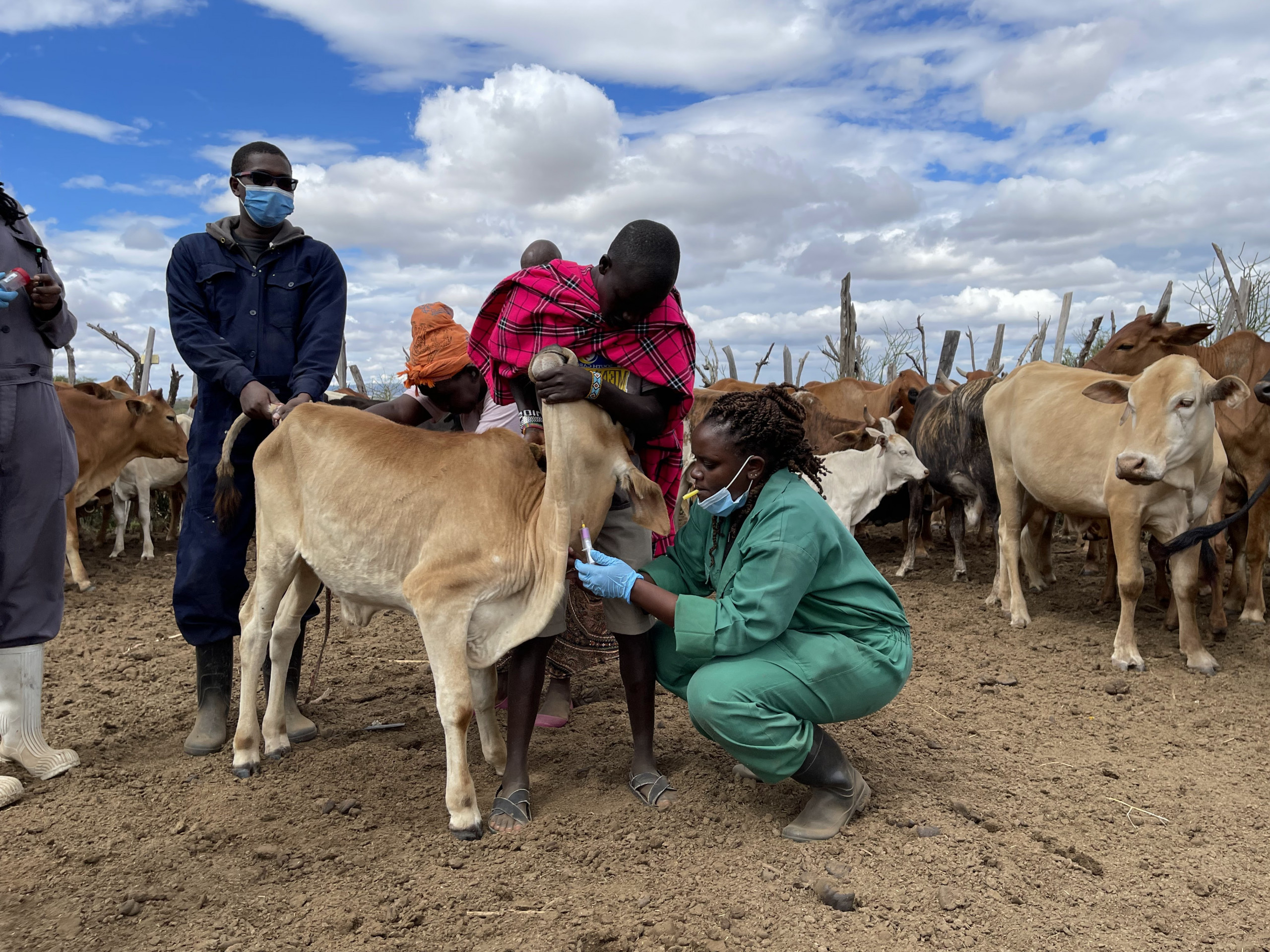 Dr Lillian Wambua joins WOAH as Regional Programme Officer One Health ...