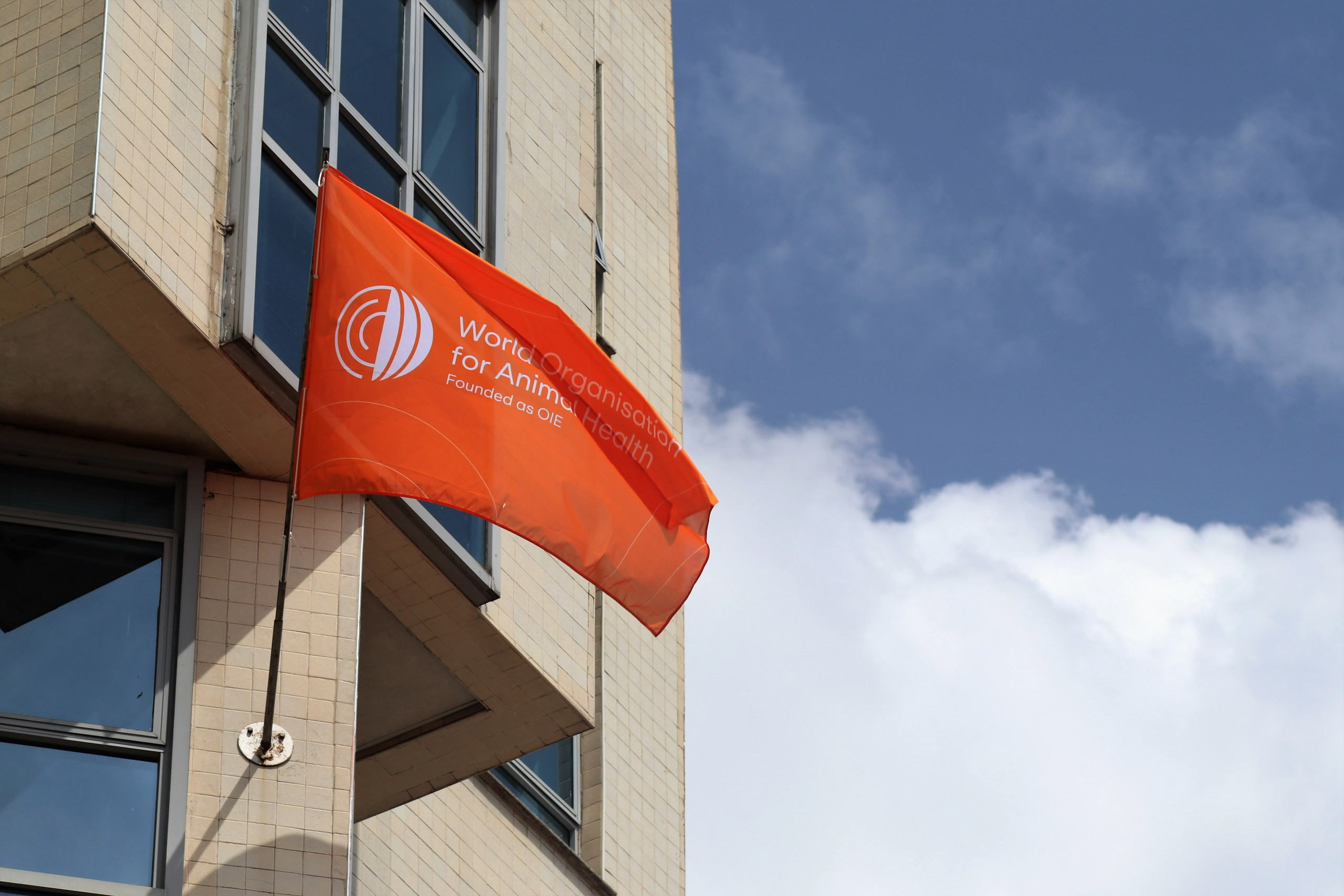 The WOAH Sub-Regional Representation for Eastern Africa - WOAH - Africa